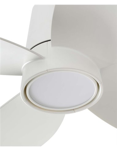 Klover ceiling fan with light - Faro - White LED fan